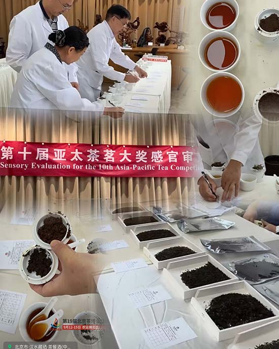 Sri Lanka’s Participation at the 10th Asia-Pacific Tea Competition ...